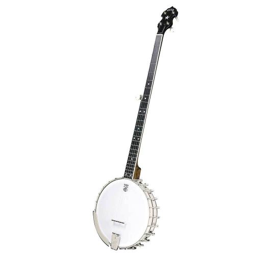 Best Banjo for Folk Music