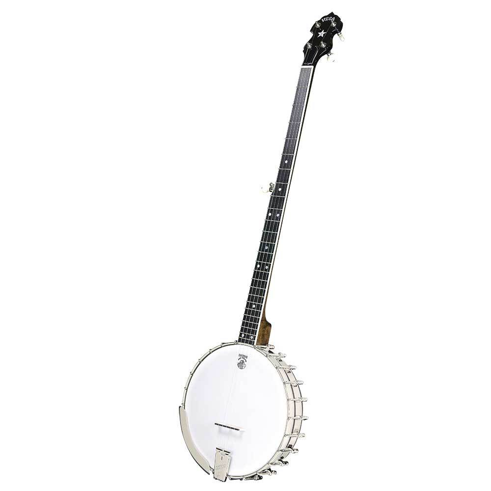Best Banjo for Folk Music